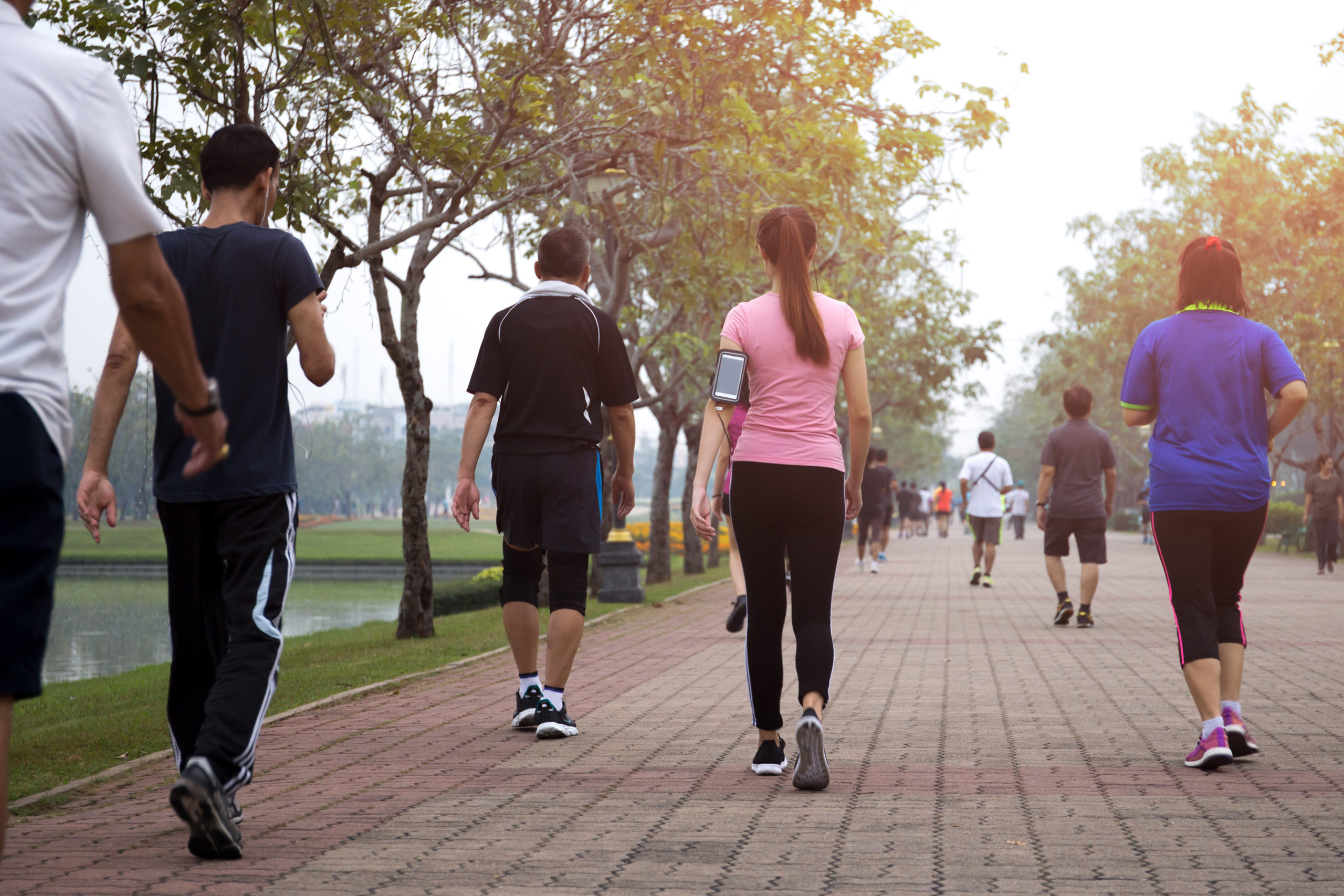 RTO Tech - Benefits of Physical Activity